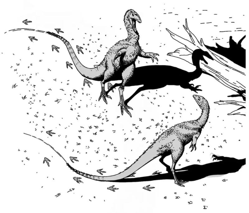 村民用了多年的垫脚石，竟是重要的恐龙化石？_京报网