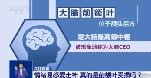 情绪易怒、爱走神是前额叶受损吗？如何科学改善？专家解读_京报网